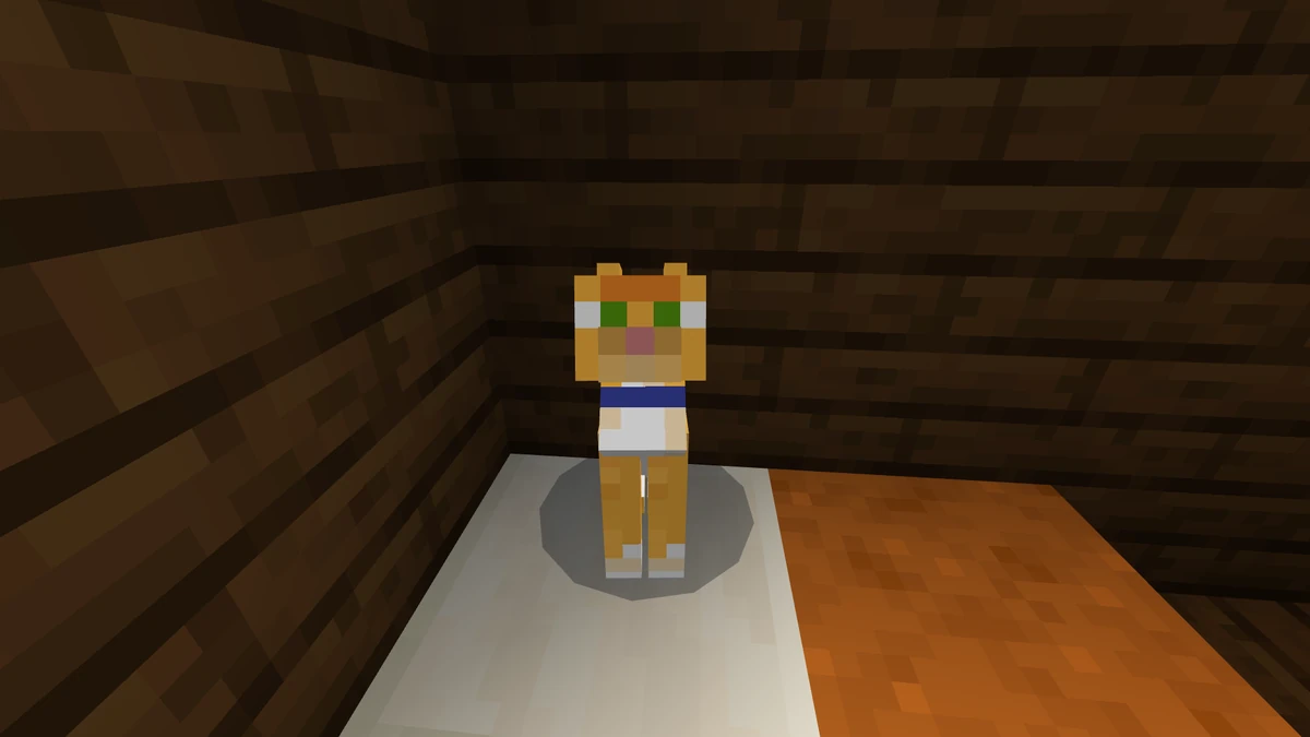 Baby Lapis Cat | Radley and Pink Cat Wiki | Fandom