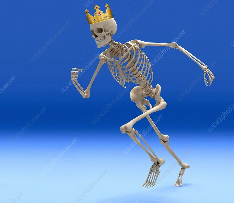 Skeleton King | Raduverse Wiki | Fandom