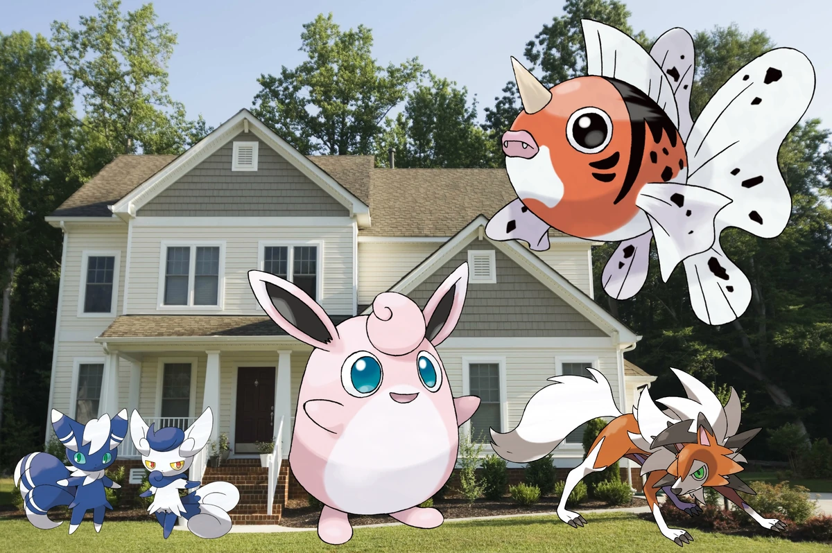 Raeed Asheque | Raeed Asheque Wiki | Fandom