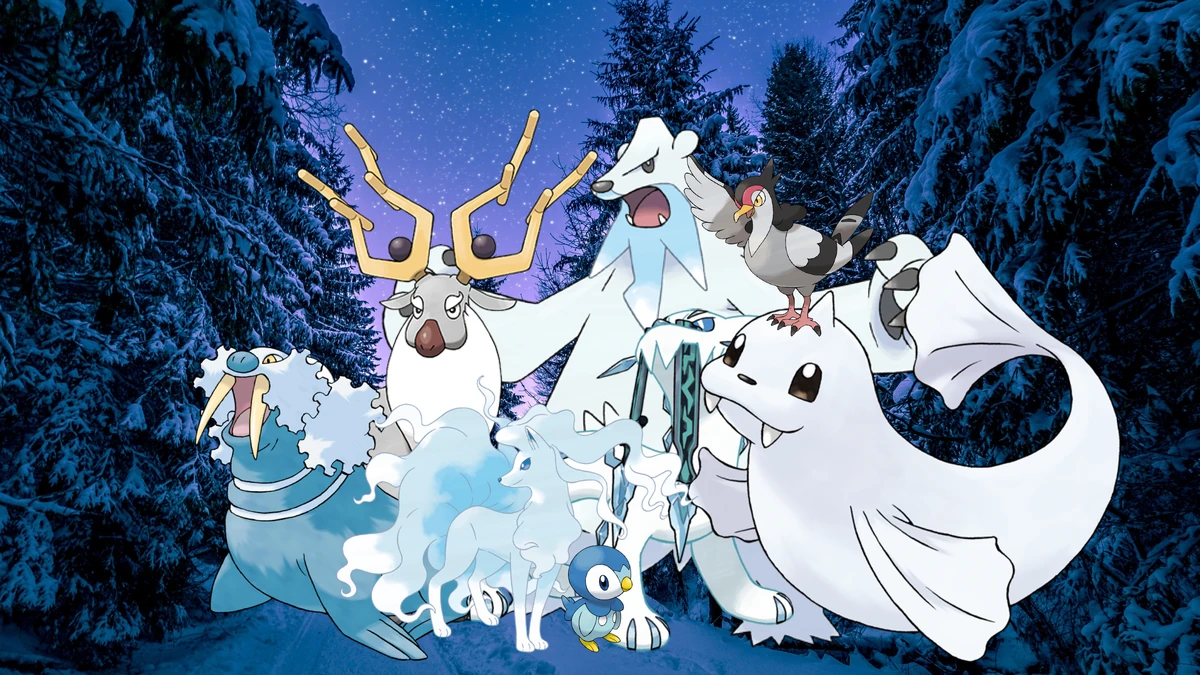 Raeed Asheque | Raeed Asheque Wiki | Fandom