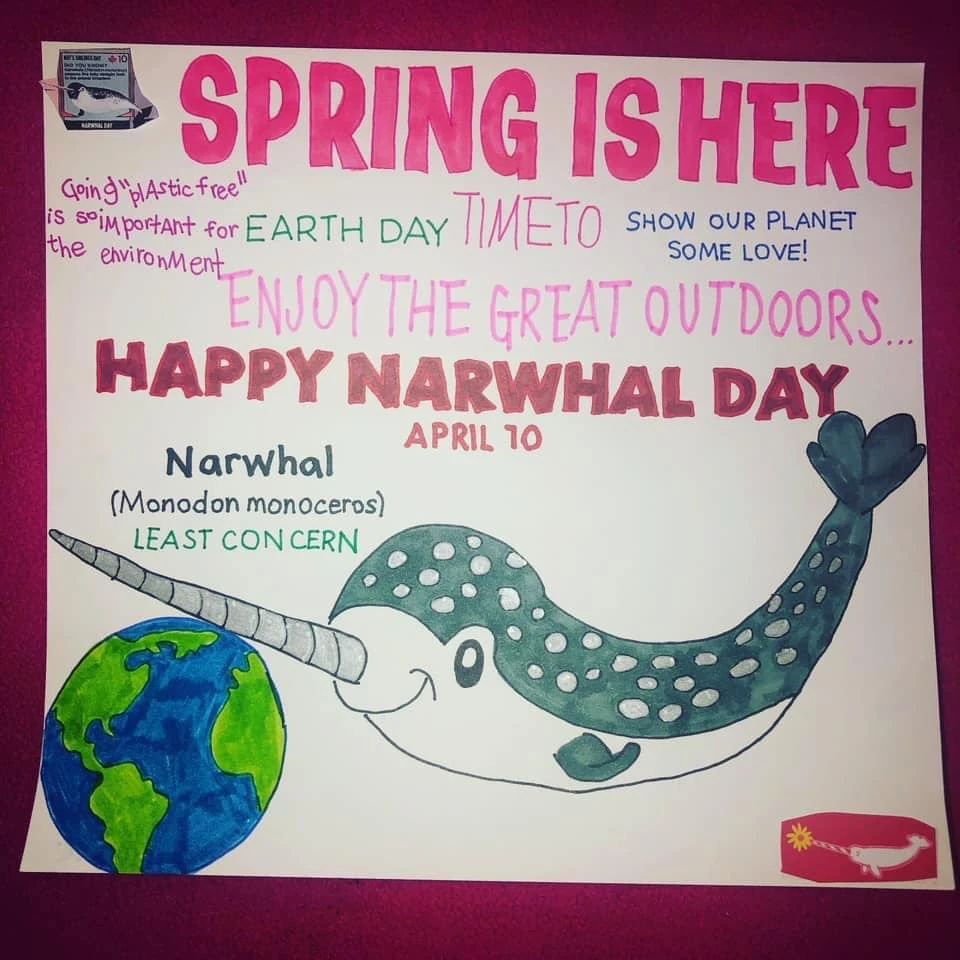 Narwhal Day | Raffi Wiki | Fandom