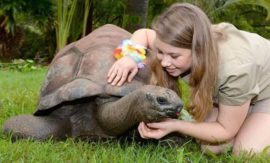 Aldabra tortoises | Raffi Wiki | Fandom