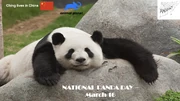 Panda | Raffi Wiki | Fandom