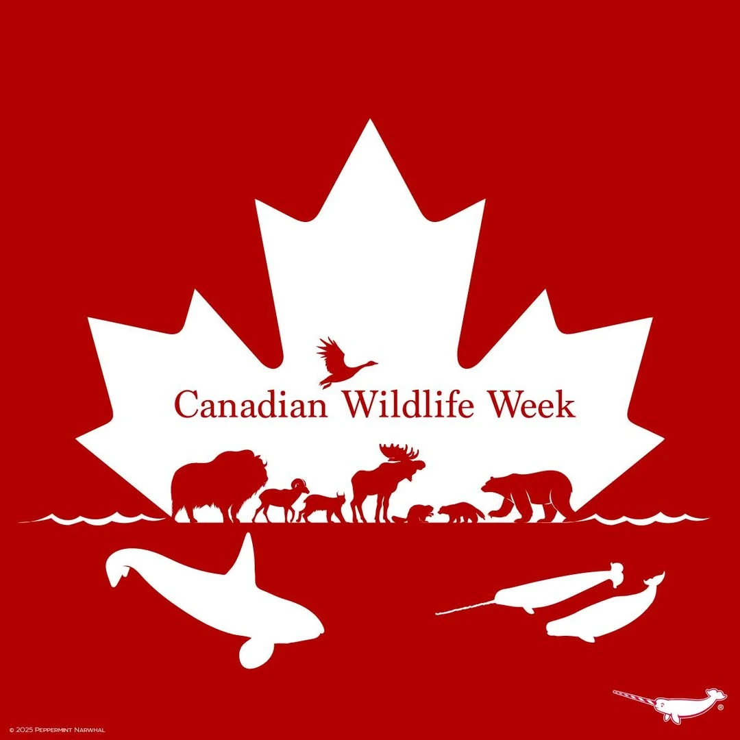 Canadian Wildlife Week | Raffi Wiki | Fandom