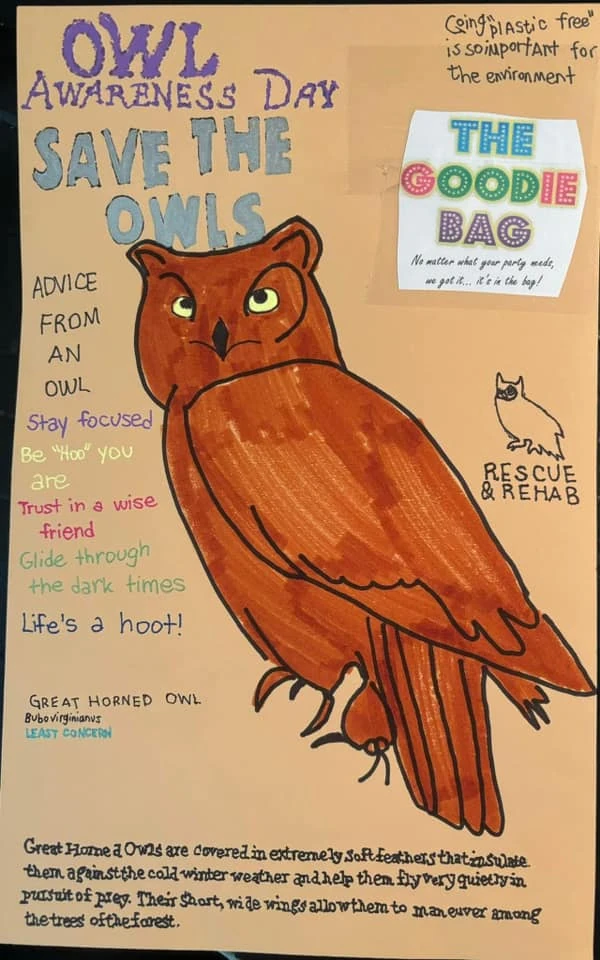 Owl Awareness Day | Raffi Wiki | Fandom
