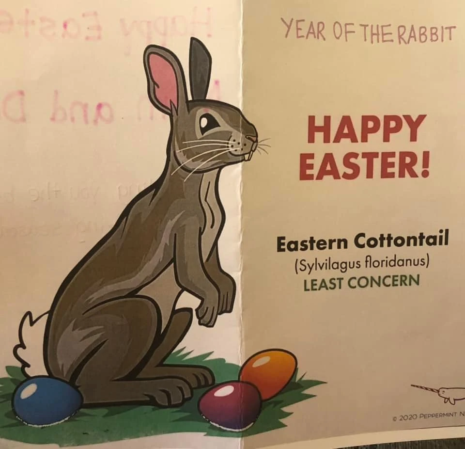 Easter | Raffi Wiki | Fandom