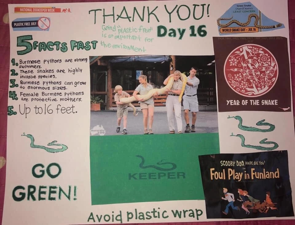 Burmese Python | Raffi Wiki | Fandom