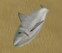 Sharks | Raft Pirates Wiki | Fandom