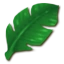 Palm Leaf | Raft Wiki | Fandom
