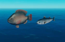 how to cook fish in raft game