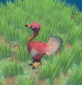 Clucker - Official Raft Wiki