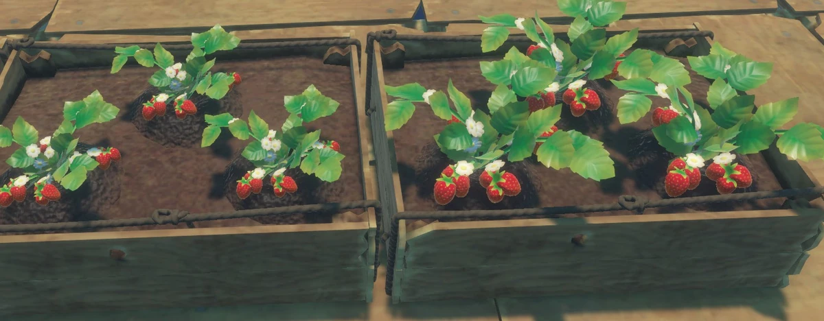Strawberry - Official Raft Wiki