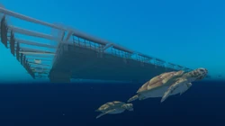 how to make turtle raft