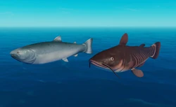 how to cook catfish in raft