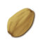Mango Seed - Official Raft Wiki