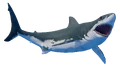 Shark - Official Raft Wiki