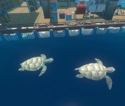 how to make turtle raft