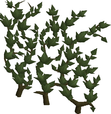 Ivy | Rage-Scape Wiki | Fandom