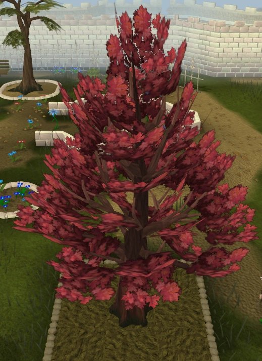 Maple Tree | Rage-Scape Wiki | Fandom