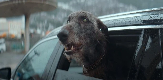 Category:Creatures | Ragnarok Wiki | Fandom