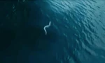 Jörmungandr | Ragnarok Wiki | Fandom