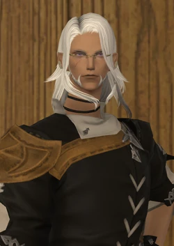 Alderic Terebion | Wiki Ragnarok RP FFXIV | Fandom