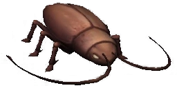 Thief Bug - Ragnarök Wiki