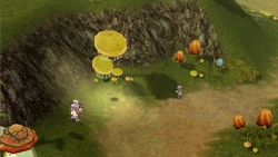 Quest:Finding a Fairy - Ragnarök Wiki