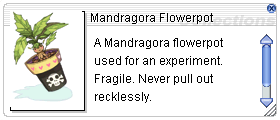 Mandragora Flowerpot - Ragnarök Wiki