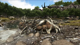 Beaver Sanctuary | Ragnarok - ARK:Survival Evolved Map Wiki | Fandom