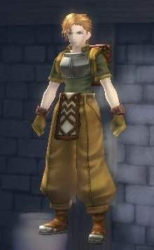 Novice | Ragnarok Odyssey by Phantom Within group Wiki | Fandom