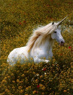 Zephyrus Tempestaveo/Companion | Ragnor Wiki | Fandom