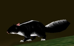 Pepe Le`Pew | Phoenix Rising Wiki | Fandom