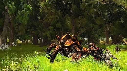 Features | Raiderz Wiki | Fandom