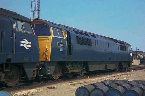 British Railways Class 52 Western Yeoman | Railways Wiki | Fandom