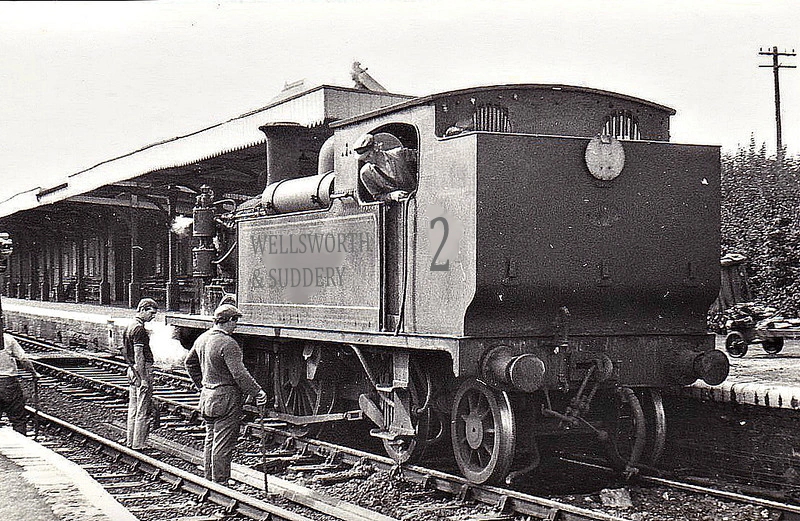 Lily | Rails Through Suddery Wiki | Fandom