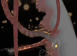 Void Worm | Rain world Wiki | Fandom