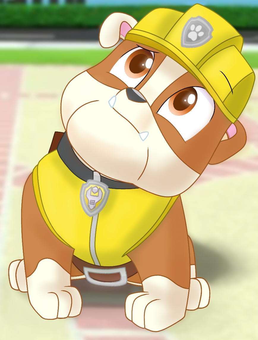 Paw Patrol På Svenska Rubble Rainbow Eevee Wiki Fandom