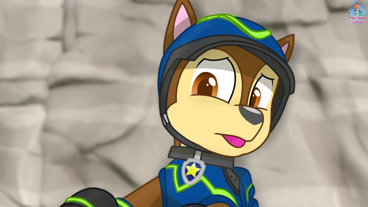 Spy Chase from Paw Patrol | Rainbow Eevee Wiki | Fandom