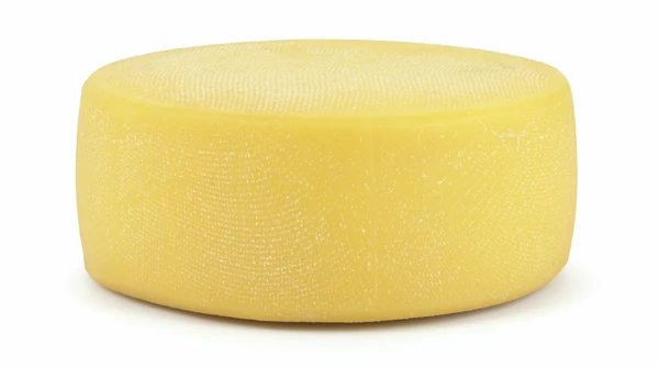 CHEEZE | Rainbow Jay Land Wikia | Fandom