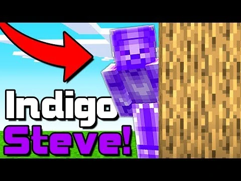 Indigo Steve | Rainbow Quest Wiki | Fandom