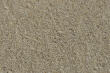 Quicksand | Rainbow Rangers Wiki | Fandom