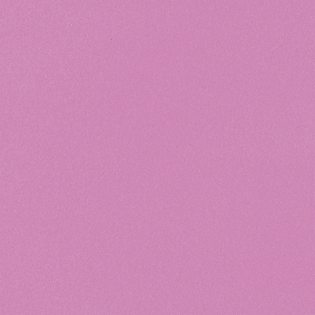 Gallery:Violet | Rainbows Wiki | Fandom