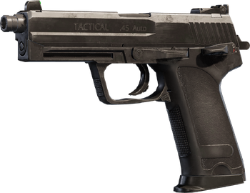 P12 | Rainbow Six Wiki | Fandom