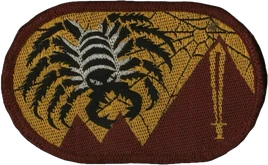 35th Commando Battalion | Rainbow Six Wiki | Fandom