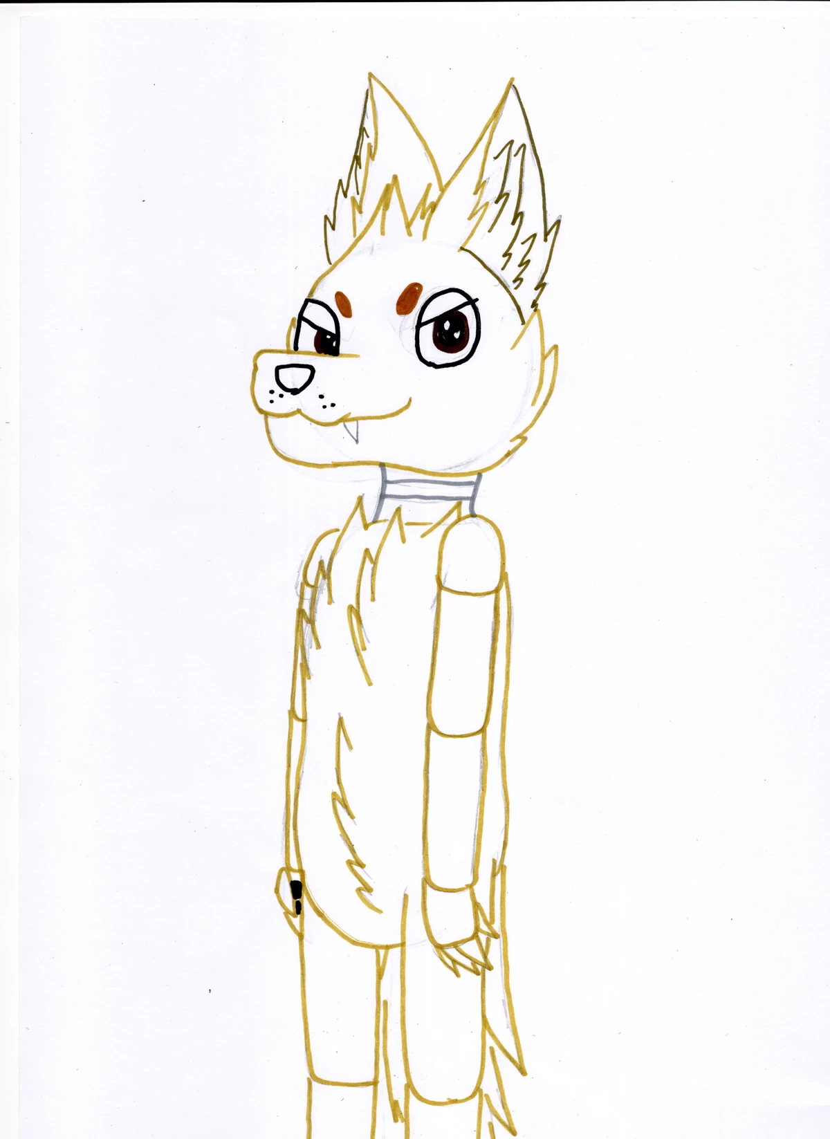 Winter the fennec fox | Rainbow's-Wiki-For-Fotos Wikia | Fandom
