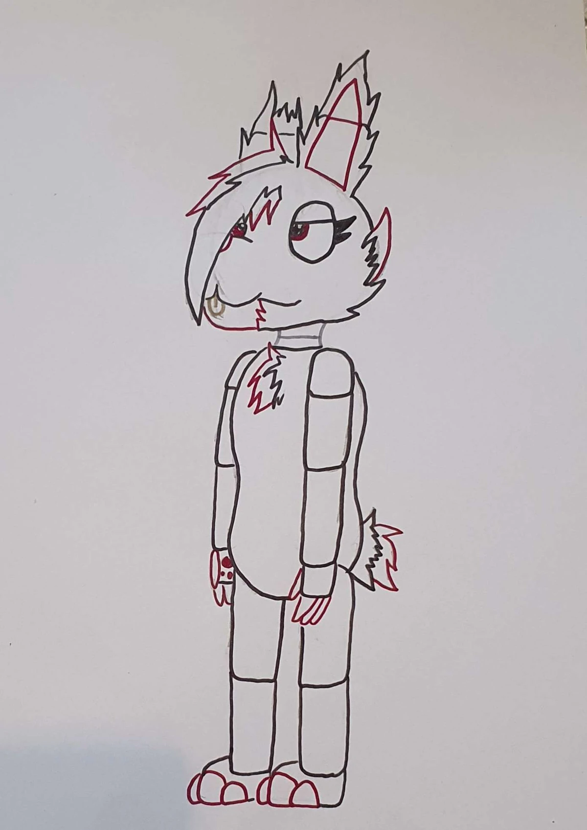 Shadow the rabbit | Rainbow's-Wiki-For-Fotos Wikia | Fandom