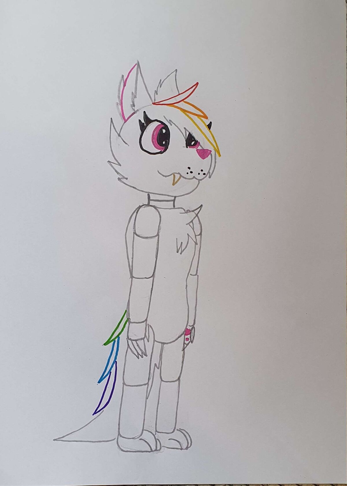 Nyan The Cat Rainbows Wiki For Fotos Wikia Fandom