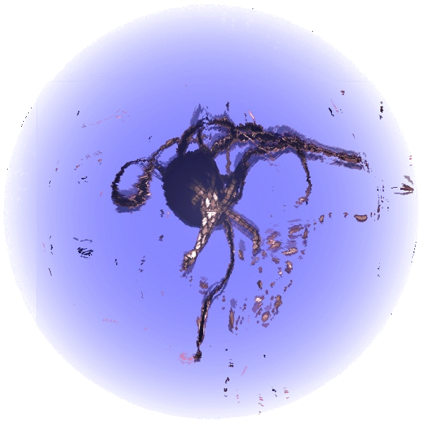 Отголосок | Rainworld вики | Fandom