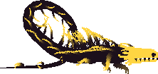 Golden lizard | Rain World Wiki Rus | Fandom